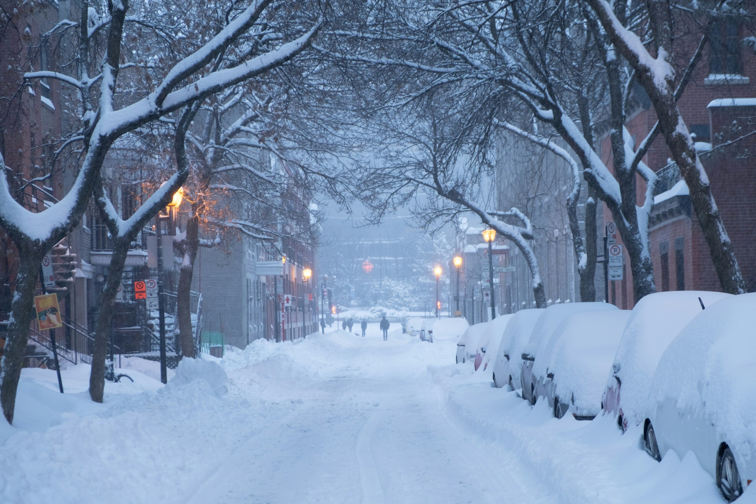 Winter Weather Preparedness • Circumspect Group, Inc.